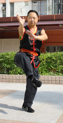 Choy Li Fut: Entrevista al Master Chan Kin Man – El Budoka 2.0