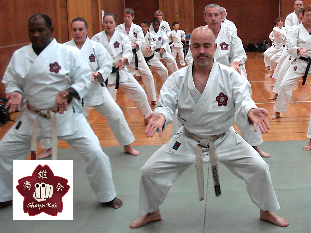 Karate Goju-ryu de Okinawa Shorei-Kan. Curso en Japón – El Budoka 2.0