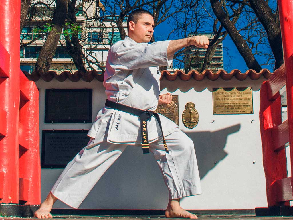 Karatedo Shorin-ryu Taishinkan Chikara Dojo Argentina – El Budoka 2.0