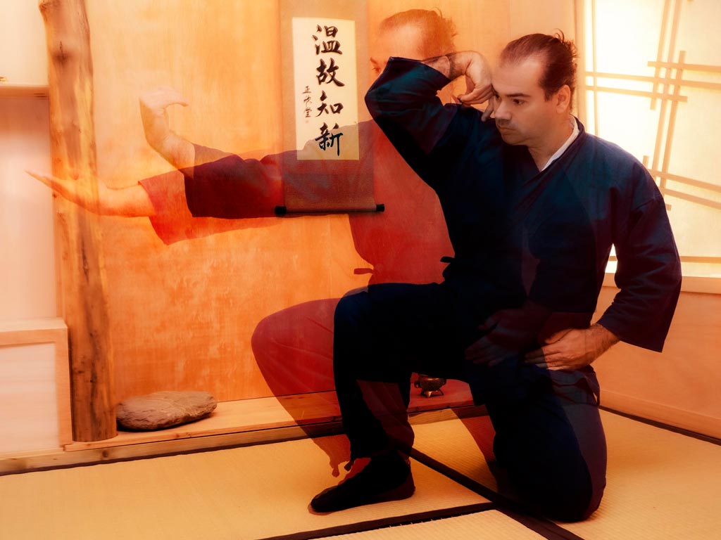 Haragei: La energía interior en movimiento – El Budoka 2.0