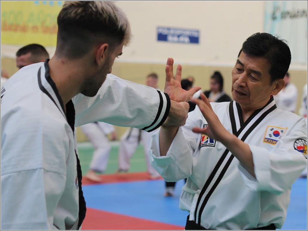 El Gran Maestro Lee Chang Soo de nuevo en Barcelona – El Budoka 2.0